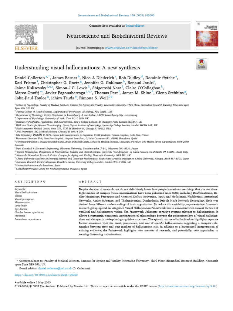 Understanding Visual Hallucinations A New Synthesis | PDF | Perception ...