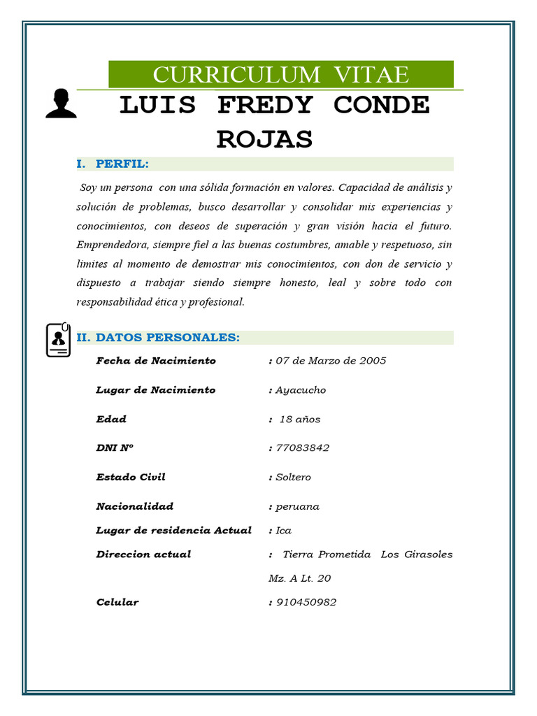 Luis Fredy Conde Rojas: Curriculum Vitae | PDF