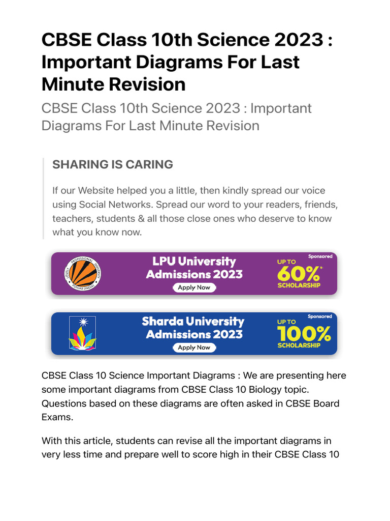 Important Diagrams for Class 10 Science | PDF | Sunset | Rainbow