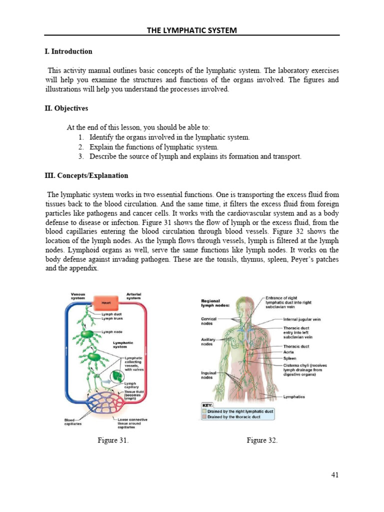 Manual Lymphatic System | PDF | Lymphatic System | Lymph