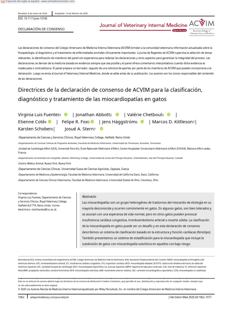 Clasificación ACVIM de Miocardiopatías Felinas | PDF | Insuficiencia ...