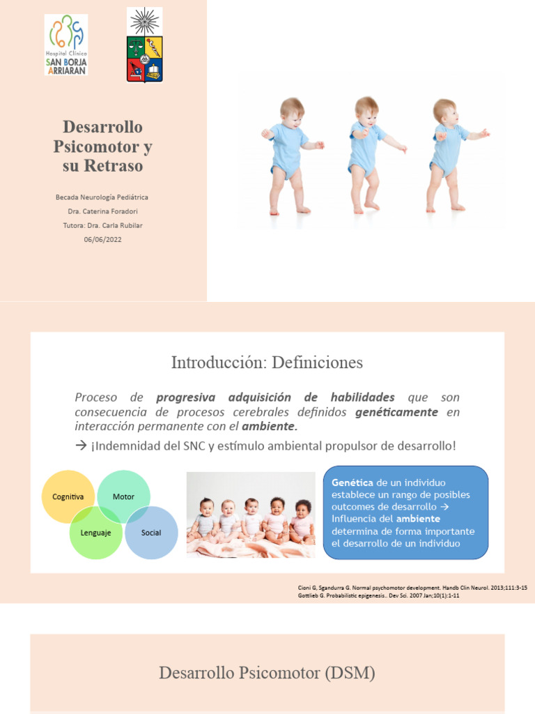 Desarrollo Psicomotor Infantil | PDF | Discapacidad intelectual | Epilepsia