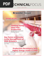 Hisex Brown Layer Management Guide | PDF | Selective Breeding | Chicken