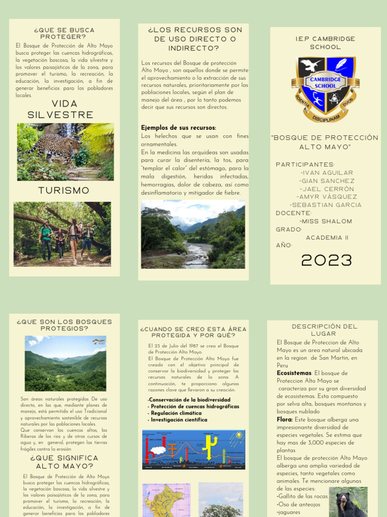 Triptico-Bosque de Proteccion de Alto Mayo | PDF | Los bosques | Biodiversidad