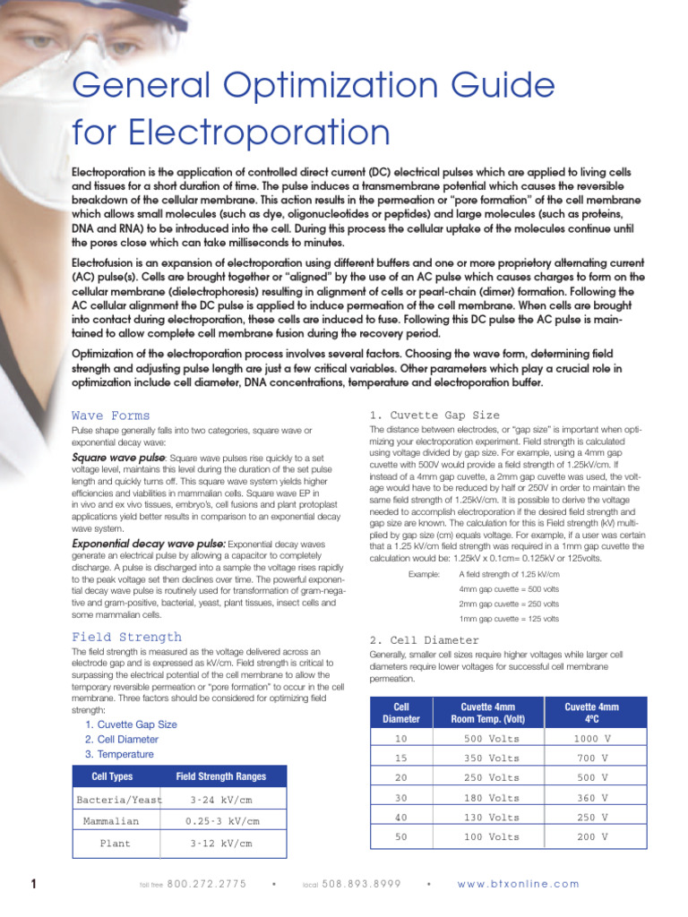 Electroporation Optimization Guide | PDF | Transfection | Cell (Biology)
