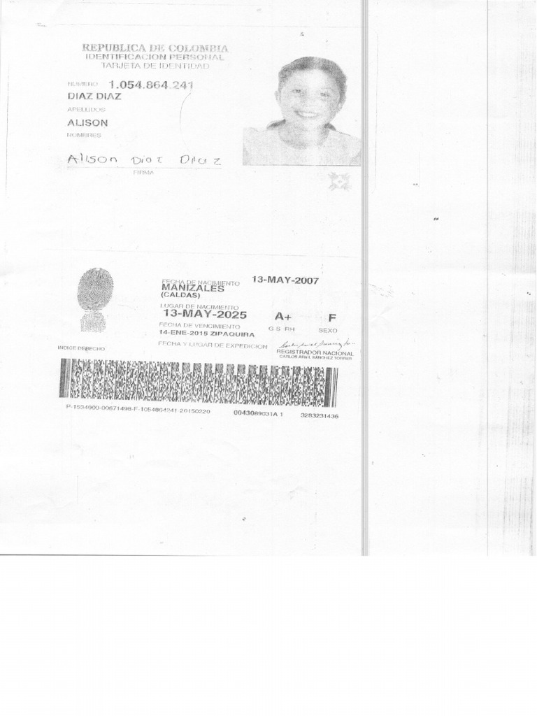 T.I Alison Diaz | PDF