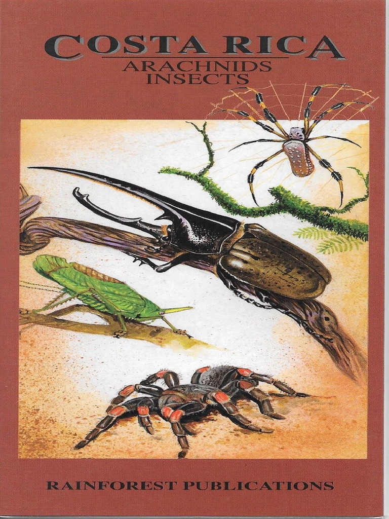 Costa Rica Arachnis Insects | PDF