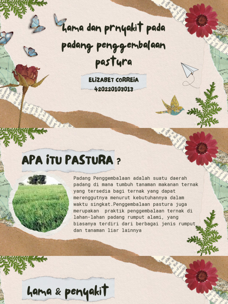Hama dan Penyakit pada Pastura Ternak | PDF