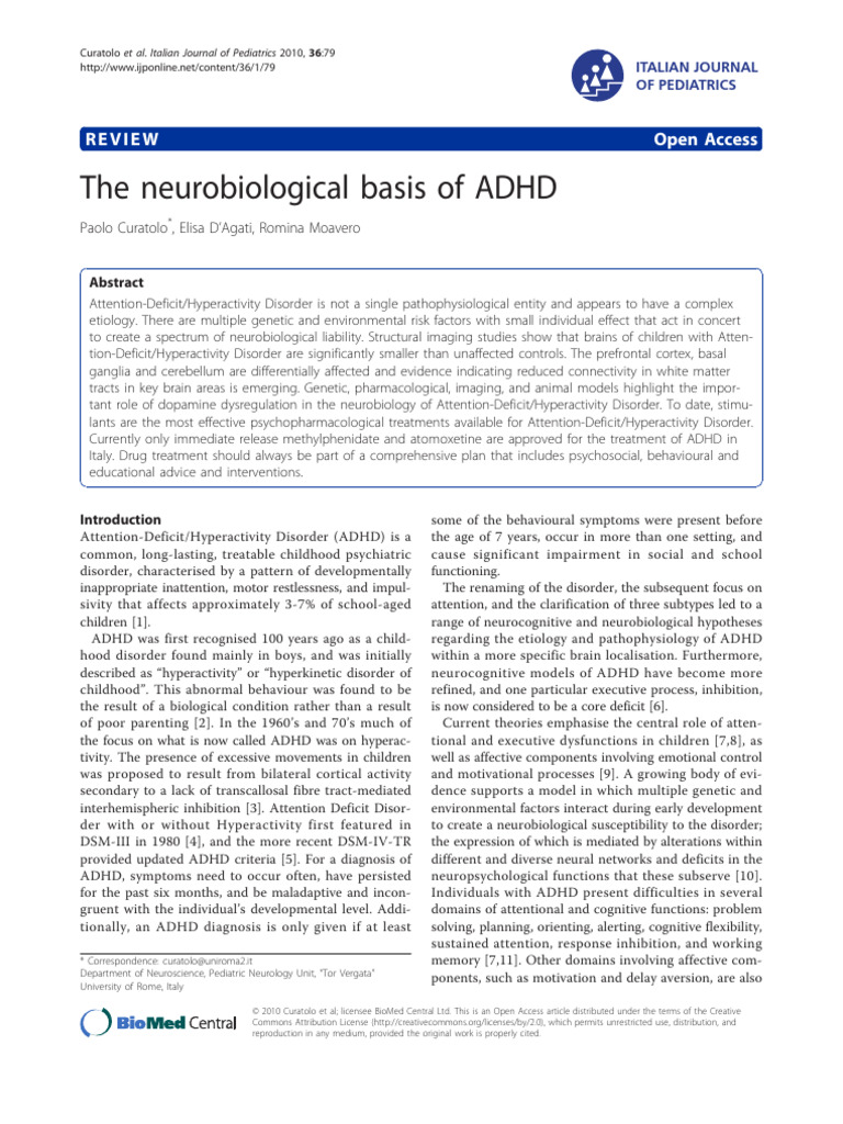 Neurobiology of ADHD Explained | PDF | Attention Deficit Hyperactivity ...