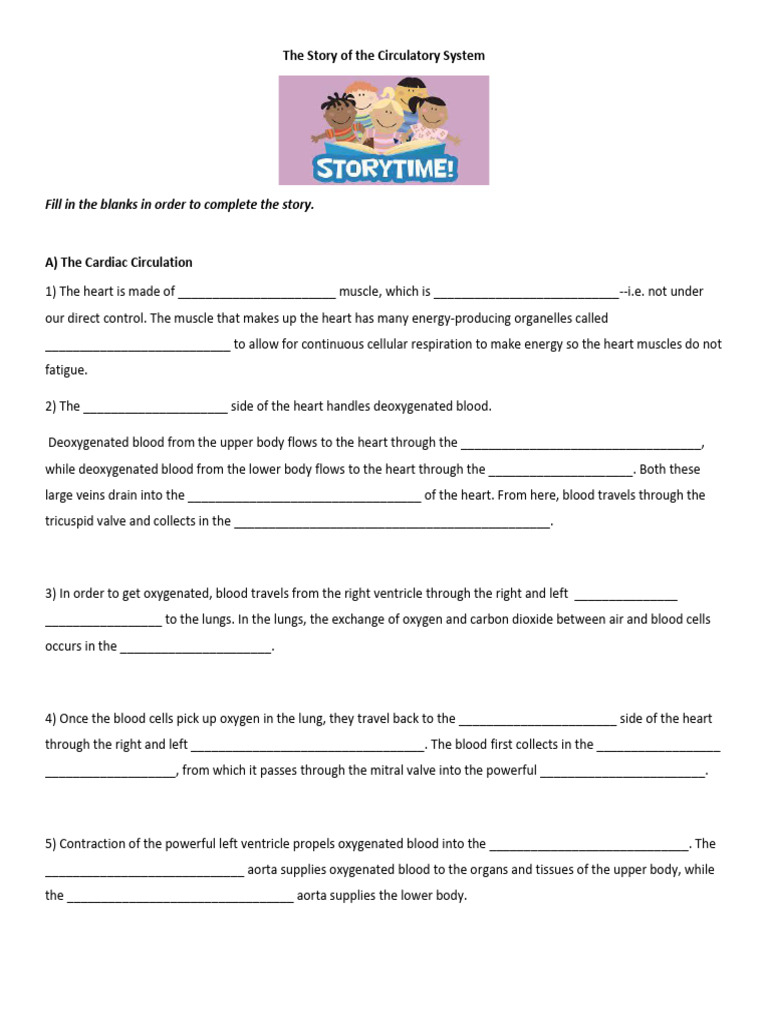 Circulatory System Story | PDF | Heart | Blood