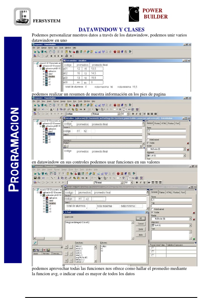 Personalización de DataWindow en PowerBuilder | PDF