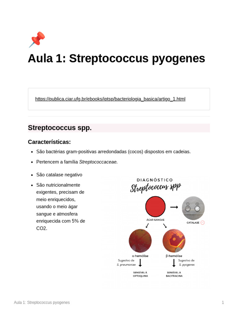 Streptococcus Pyogenes | PDF | Estreptococos | Sistema imunológico