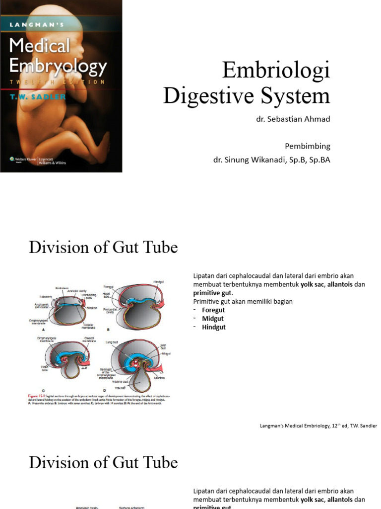 Embriologi Digestive System | PDF | Kesehatan Holistik