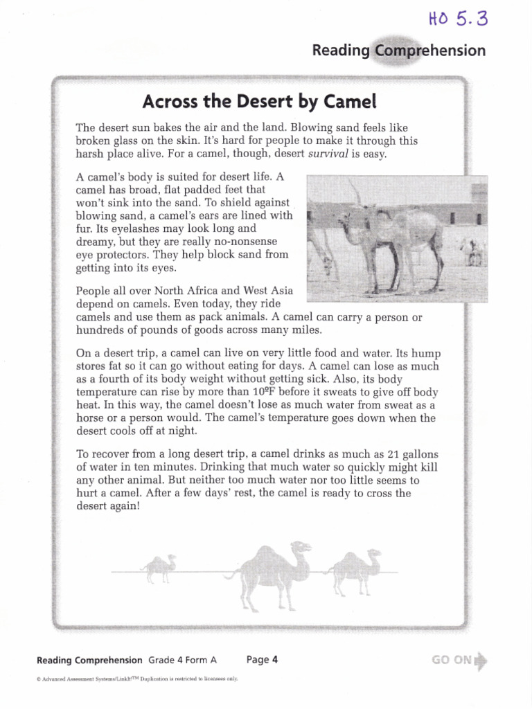 Camel Reading | PDF