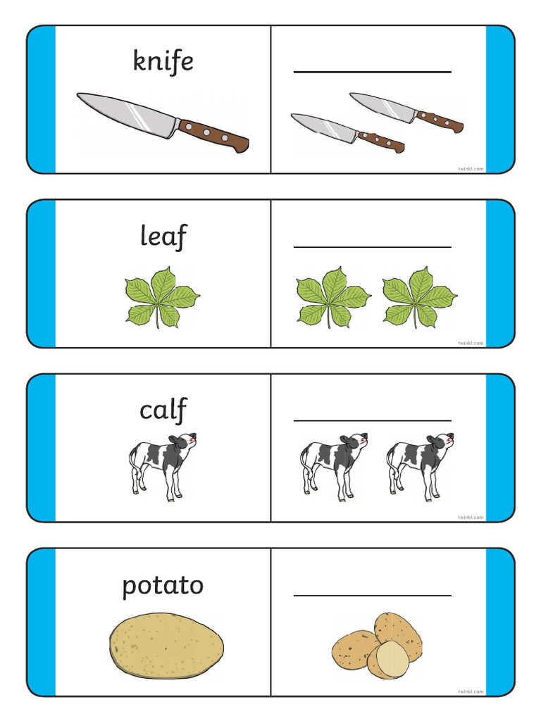 Irregular Plurals | PDF