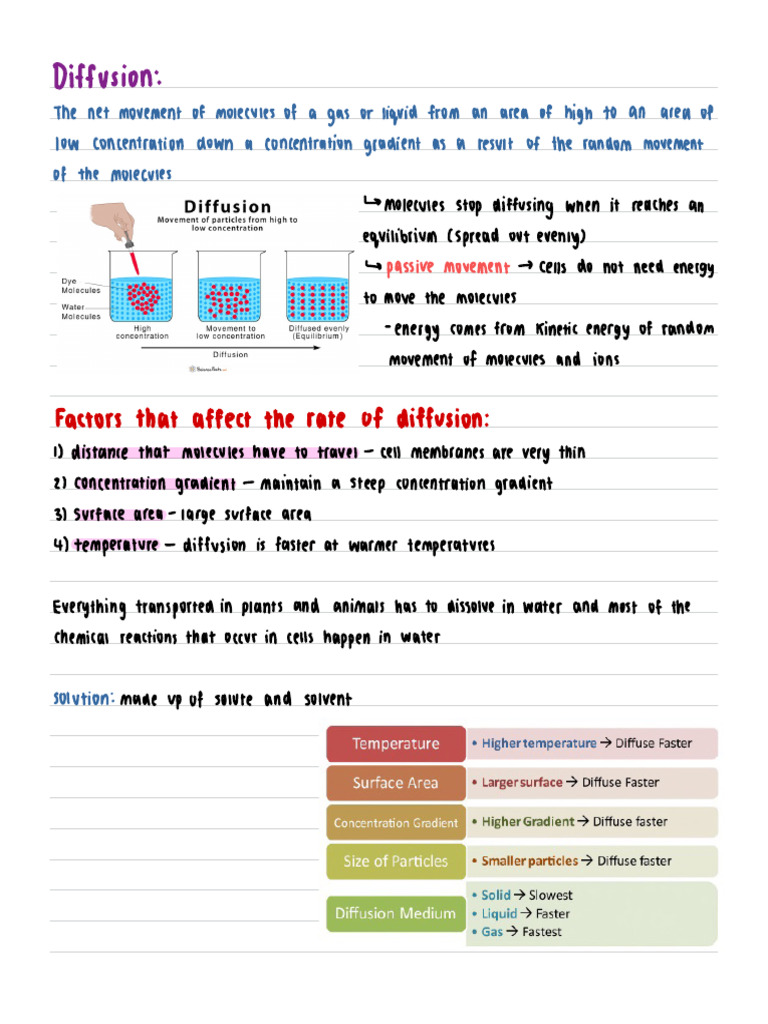Biology IGCSE Notes | Download Free PDF | Osmosis | Diffusion