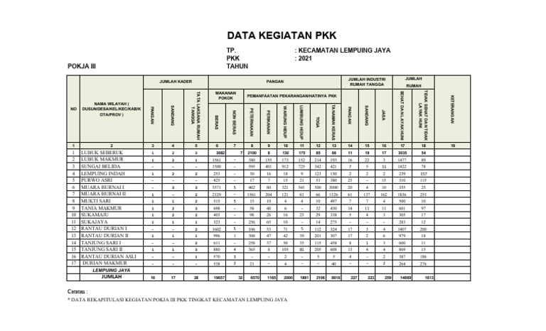 Data PKK 2021 (Pokja III) | PDF