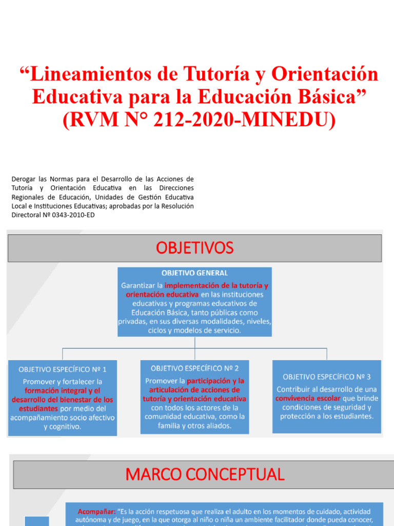 Lineamientos de Tutoría y Orientación Educativa EBR-RVM #212-2020-MINEDU) | PDF