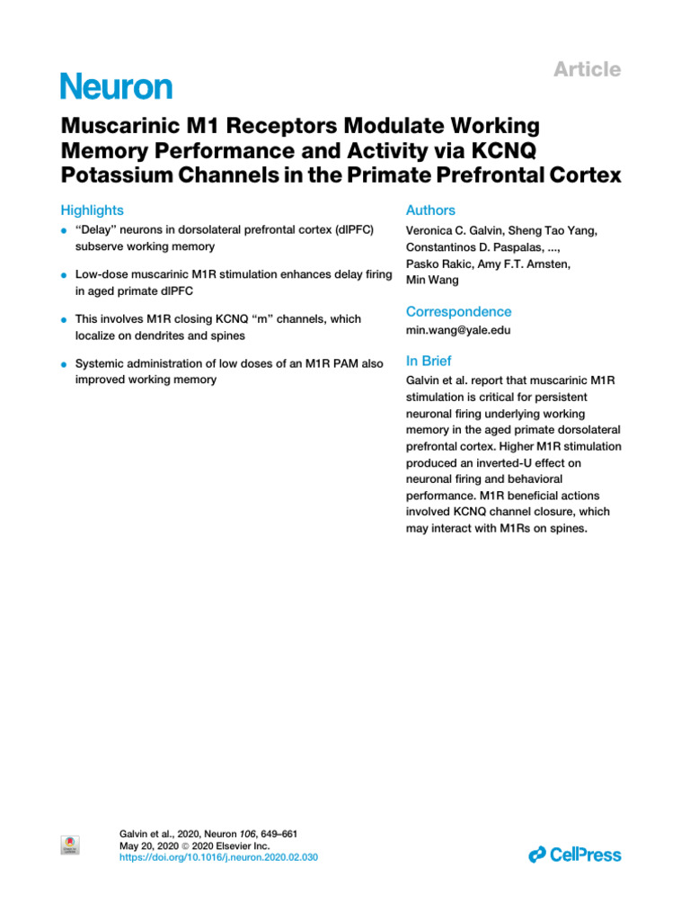 Muscarinic M1 Receptors Modulate Working Memory Performance And