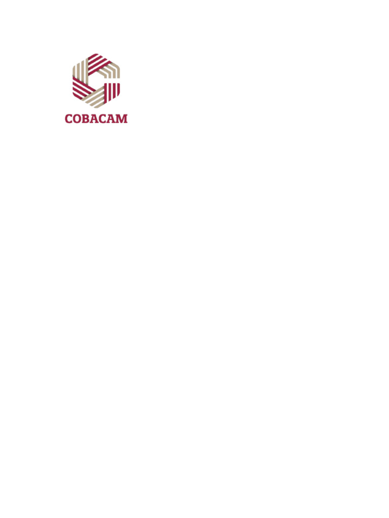 Logo Cobacam | PDF