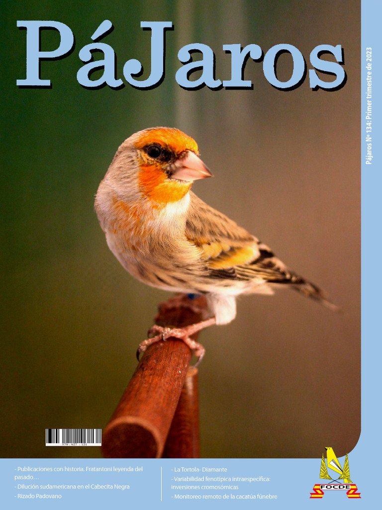 Sumario Revista Primer Trimestre 2023 | PDF