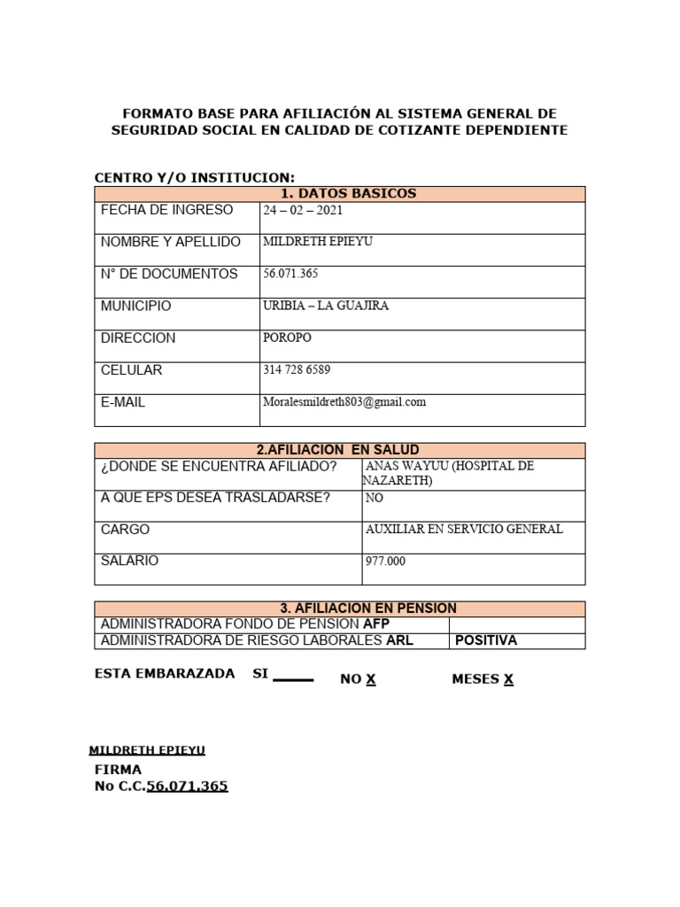 Formato de Afiliacion | PDF