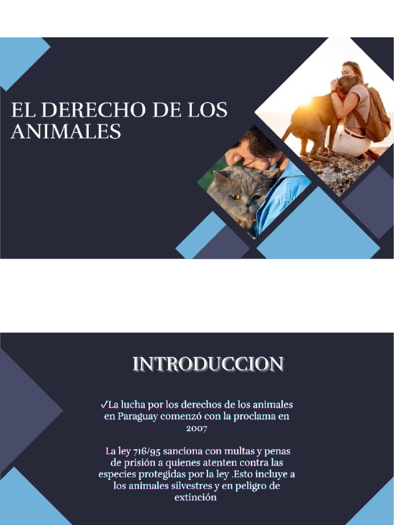 Wepik Un Mundo de Respeto y Compasion Explorando Los Derechos de Los ...