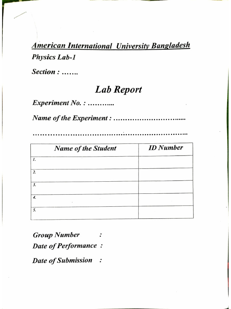 Physics 1 Lab Report | PDF