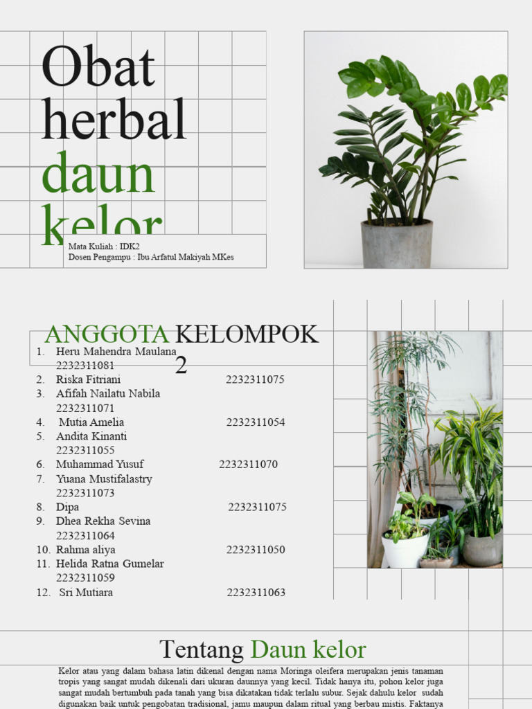 Obat Herbal Daun Kelor | PDF