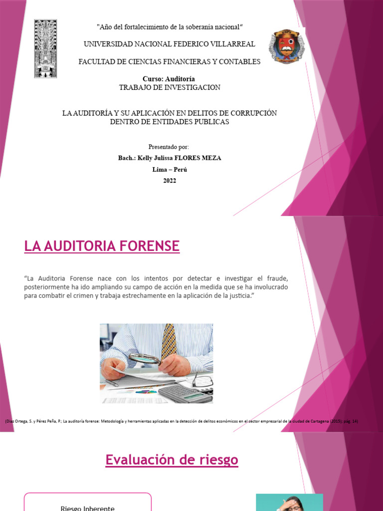 Auditoria - Kelly Flores Meza | PDF | Auditoría | Corrupción política