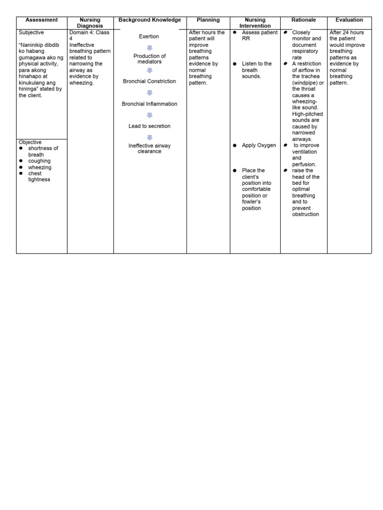 Nursing Care Plan 1 | PDF | Respiratory Tract | Breathing