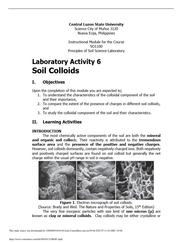 Activity-MOD 3 | PDF | Soil | Colloid