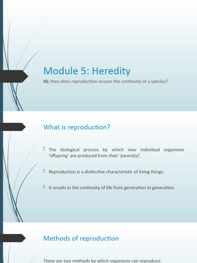 Asexual vs. Sexual Reproduction Explained | PDF | Reproduction | Sexual ...