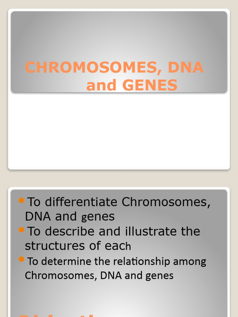 CHROMOSOMES, DNA and GENES | PDF | Dna | Allele