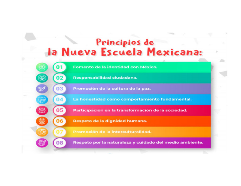 Principios de La Nem | PDF