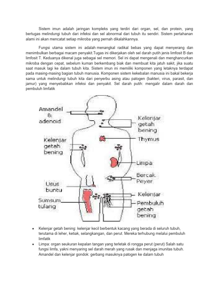 Diagram Sistem Imun Manusia | PDF | Sains & Matematika