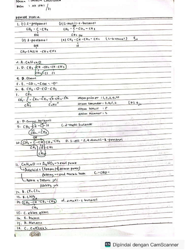 31 - Fanella Choirunisa | PDF