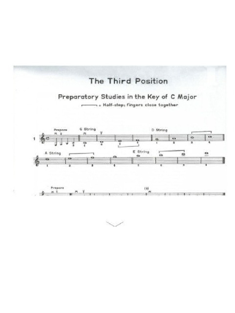 The Third Position | PDF