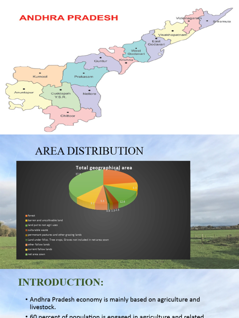 Andhra Pradesh | PDF | Agriculture | Rice