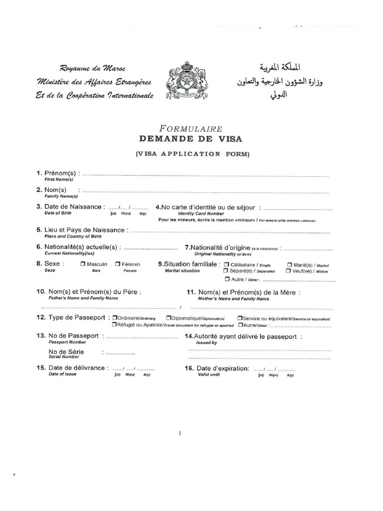 Visa Form Morocco | PDF