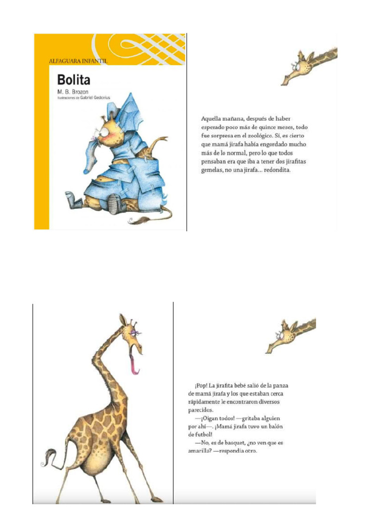 Libro Bolita | PDF