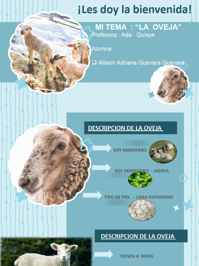 Presentacion La Oveja | PDF