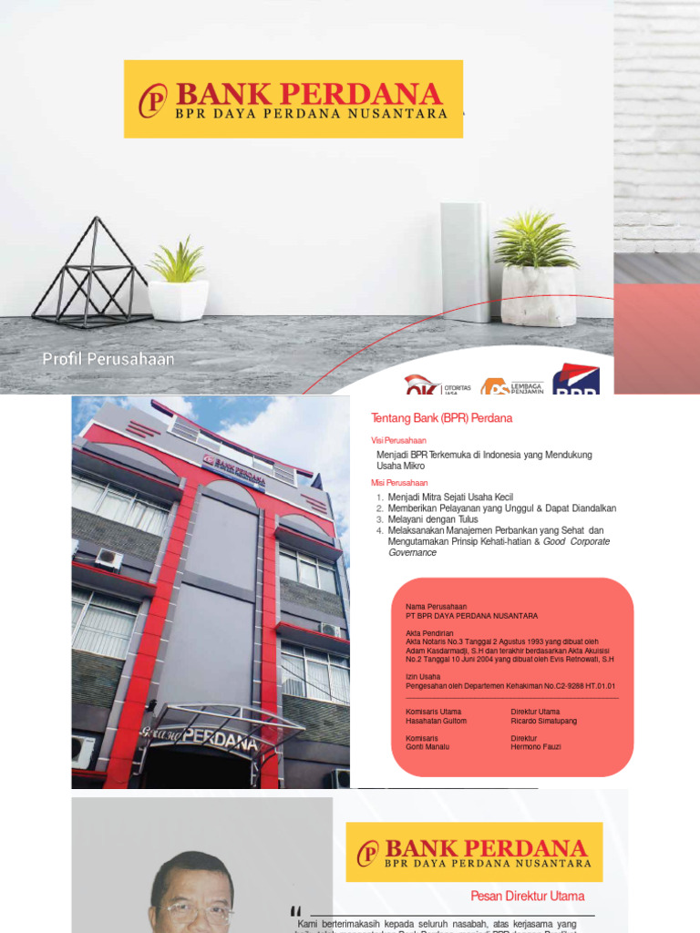 Present To Loan Market - Pitching BPR Perdana | PDF