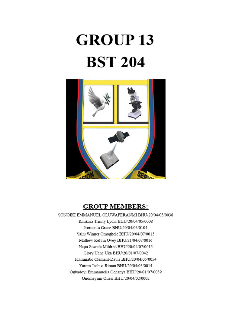BST 204 Group 13 PDF | PDF | Leadership | Transformational Leadership