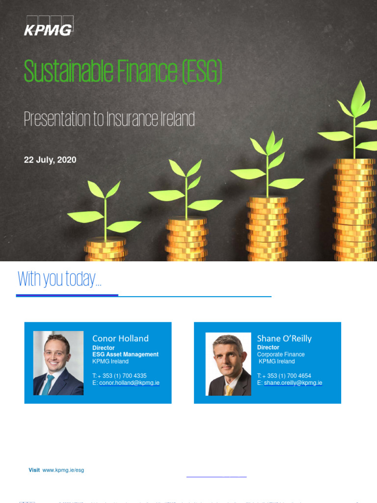 KPMG's ESG Strategy for Sustainable Finance | PDF | Sustainability | Risk