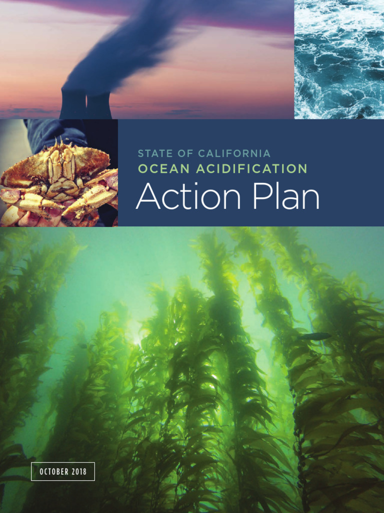 California OA Action Plan Final | PDF | Ocean Acidification | Oceans