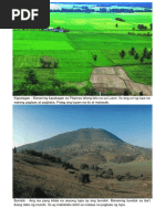 BUROL | PDF