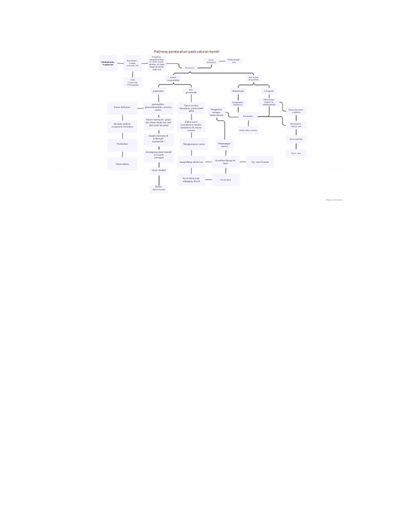Revisi Pathway Perdarahan | PDF