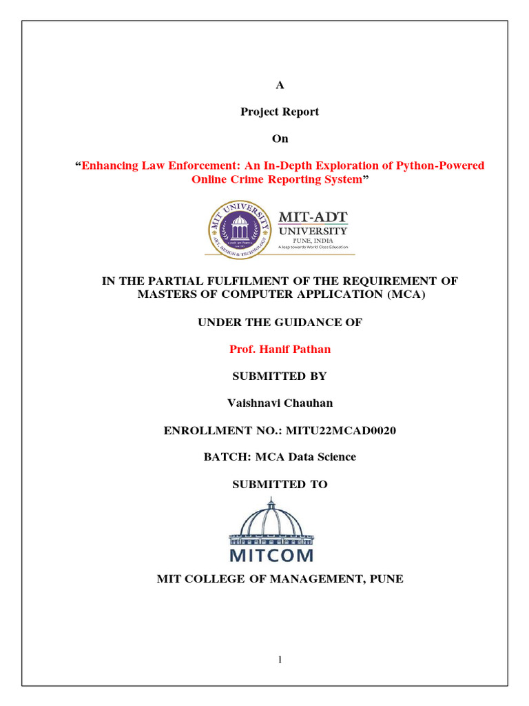 Sip Report Pdf Web Design Databases