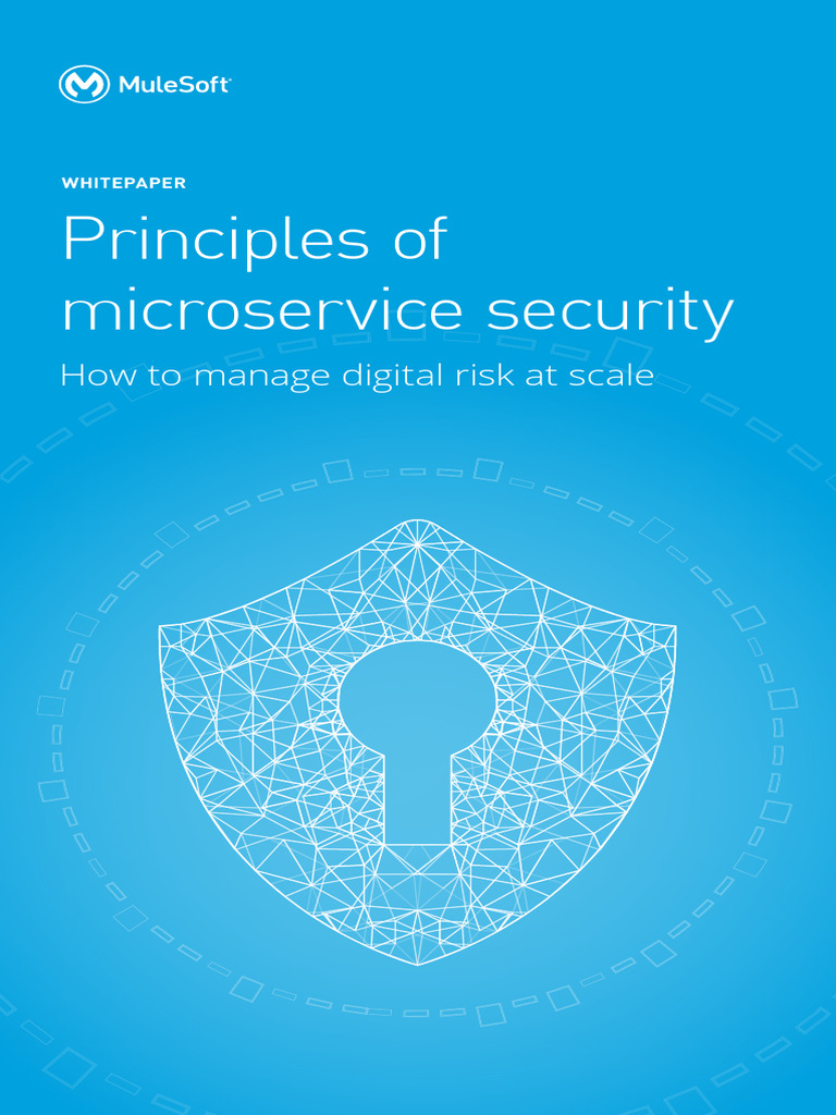 Mulesoft Principles Of Mircroservice Security Pdf Computer Network Information Security
